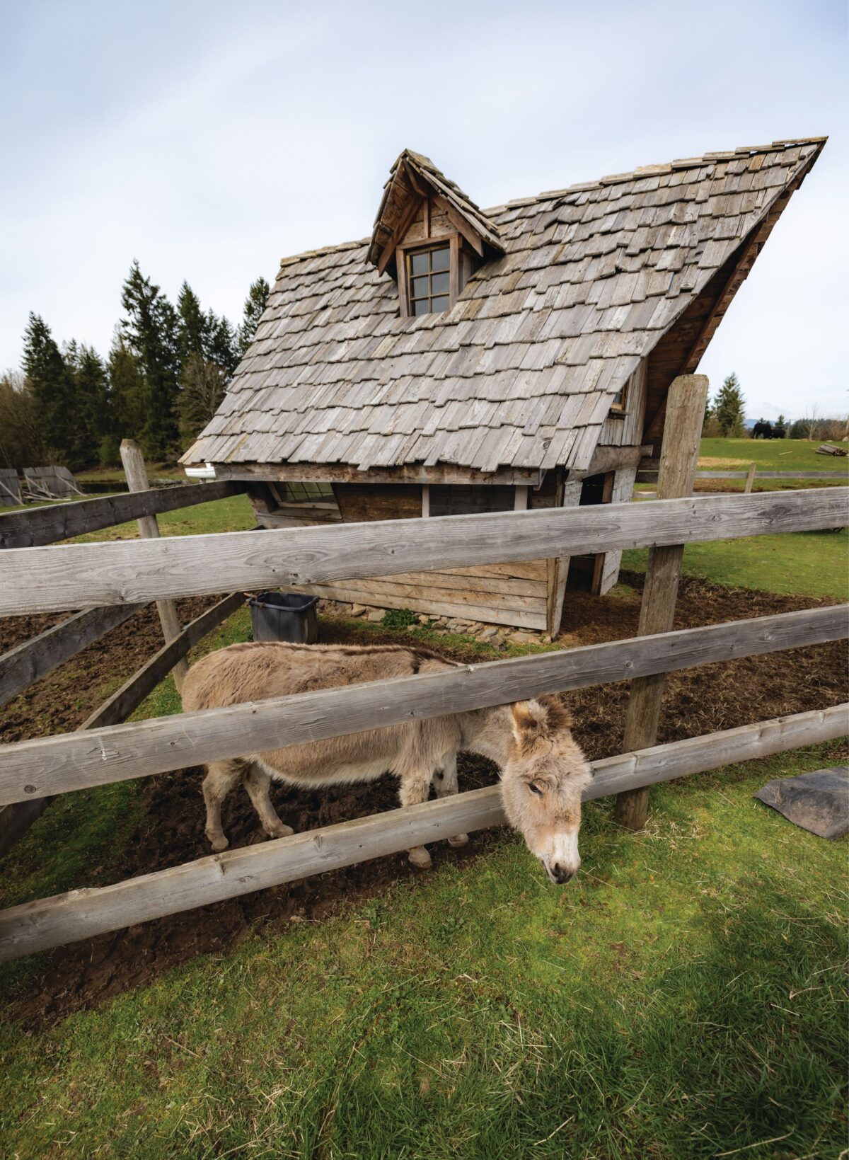 Cowichan Valley Travel Guide: Farms, Wineries and Food on Vancouver Island