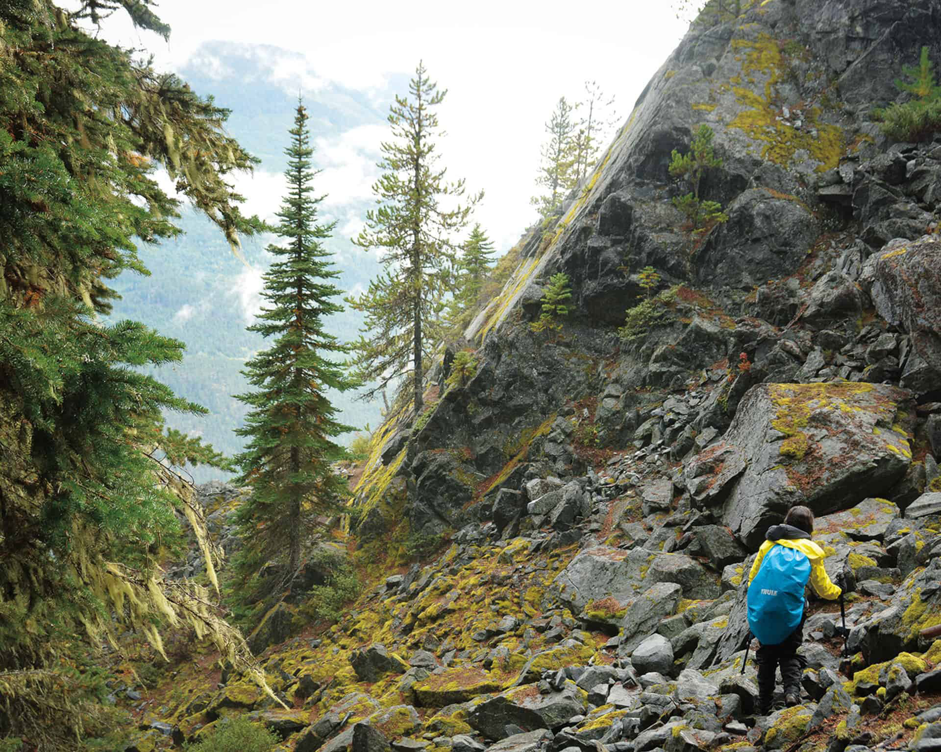 5 Great Trails to Hike on Your Next Car Camping Trip in B.C.