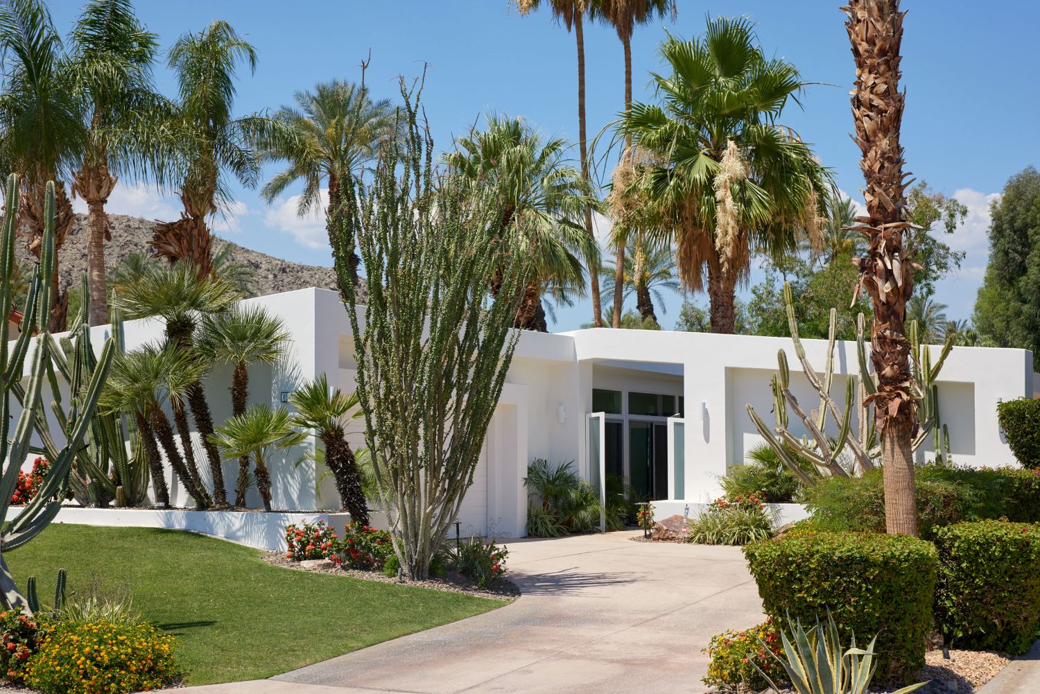 Photos: Peek Inside 5 Gorgeous Desert Homes - Western Living Magazine