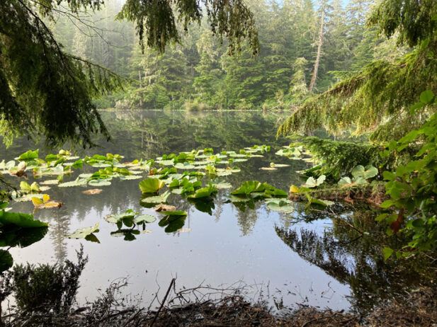 Local Summer Getaway: A Weekend in Sointula